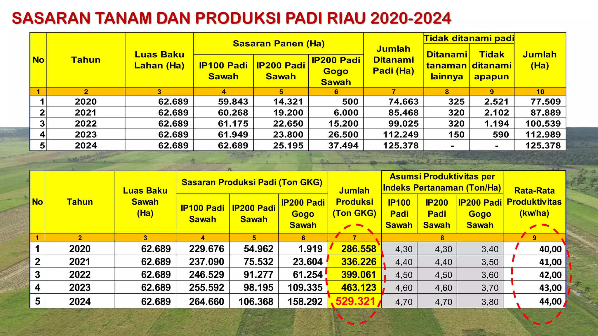 Roadmap RIAU BERTANI Bergerak Tanam Padi 2020-2024 | PDF