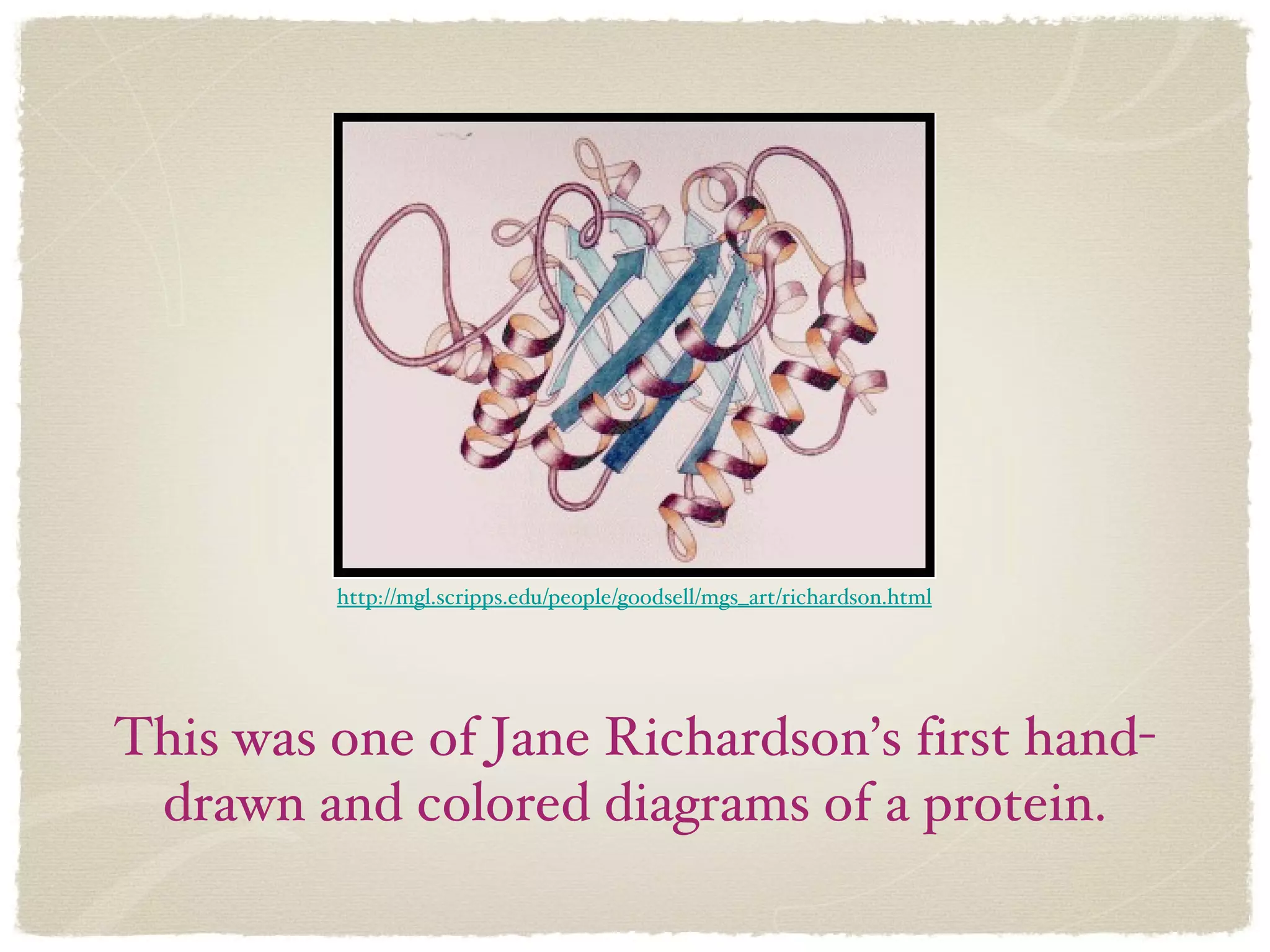 Ribbon Diagrams | PPT