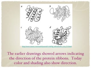 Ribbon Diagrams | PPT