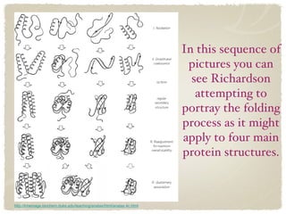 Ribbon Diagrams | PPT