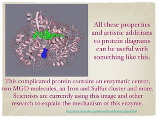 Ribbon Diagrams | PPT