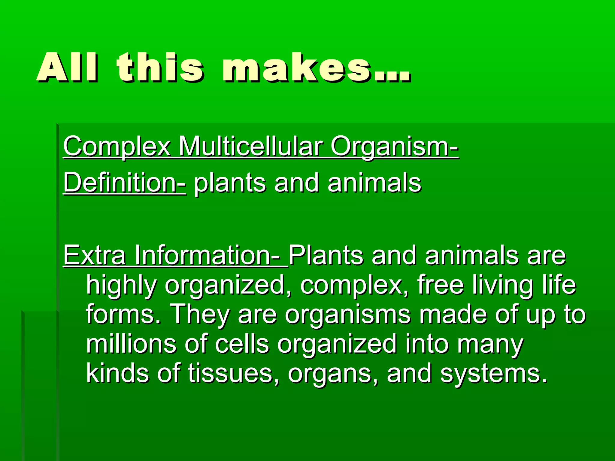 Ribbon of life | PPT