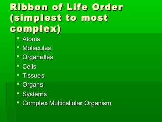 Ribbon of life | PPT