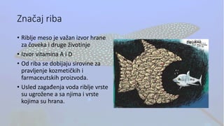 Ribe | PPTX