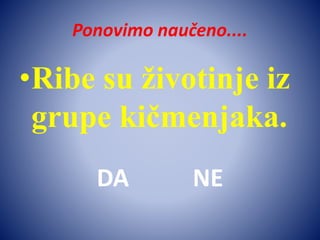 RIBE.pptx