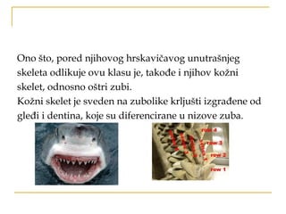Ribe sa hrskavičavim skeletom | PPT