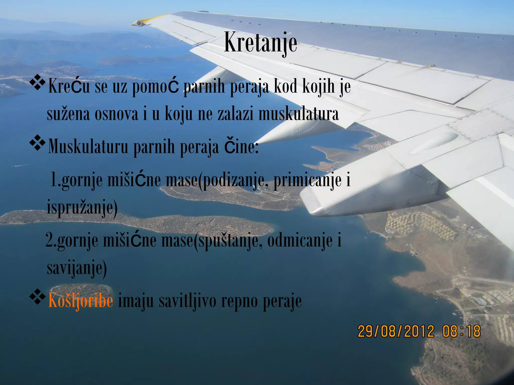 Ribe sa koštanim skeletom | PPT