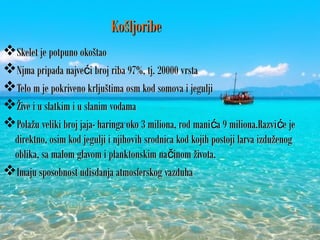 Ribe sa koštanim skeletom | PPT