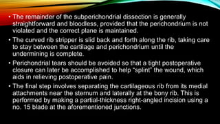 rib graft for rhinoplasty for revision rhinoplasty | PPT