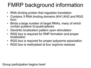 RNA and Dendritic Granules | PPT