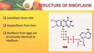 Riboflavin b2 | PDF | Chemistry | Science