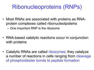 Ribonucleic acids molecular structures and functions.pptx