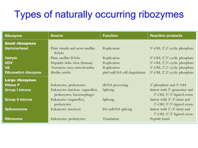Ribonucleic acids molecular structures and functions.pptx