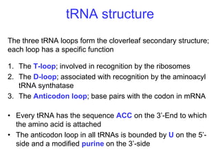 Ribonucleic acids molecular structures and functions.pptx