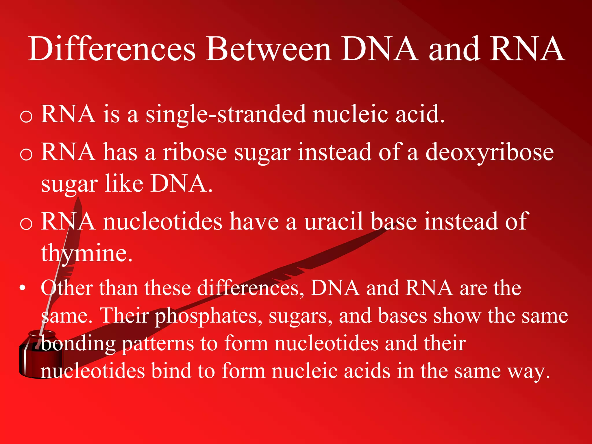 Ribonucleic acid or RNA | PPTX