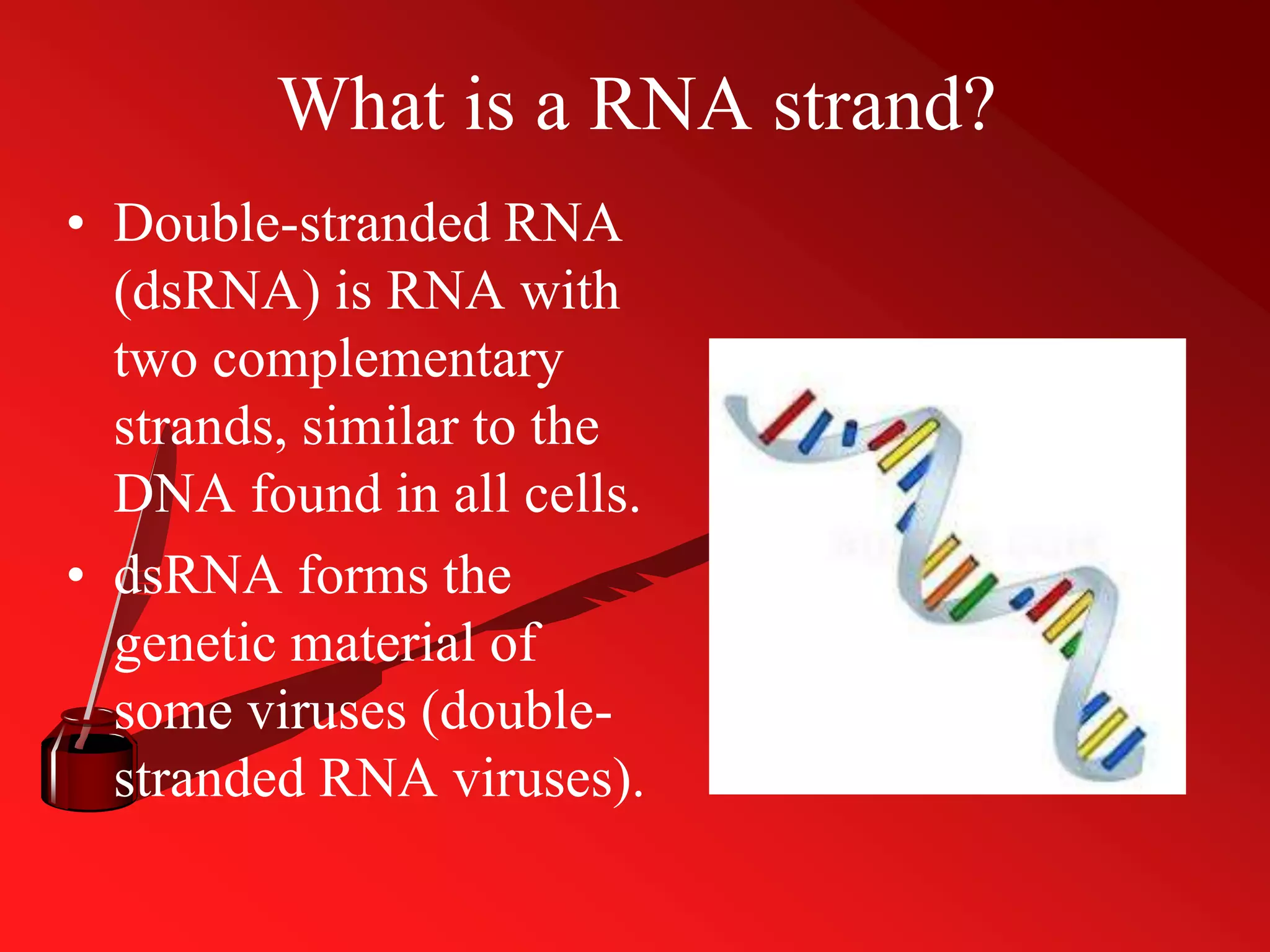 Ribonucleic acid or RNA | PPTX