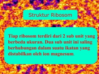 Ribosom | PPTX