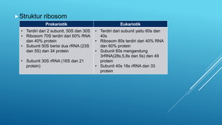 newpresentasitentangstrukturribosom.pptx