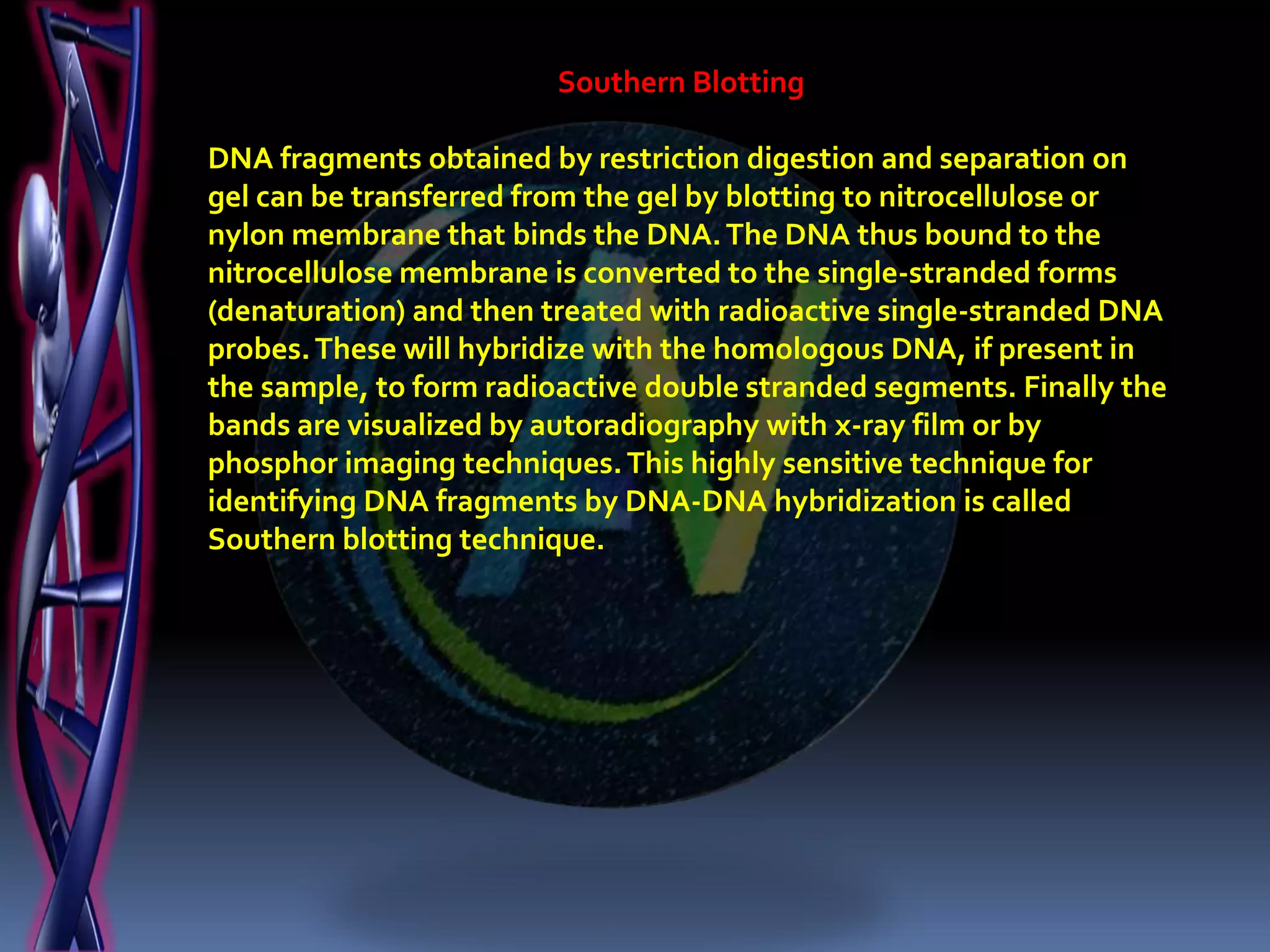 Ribosomal rna sequencing | PPTX