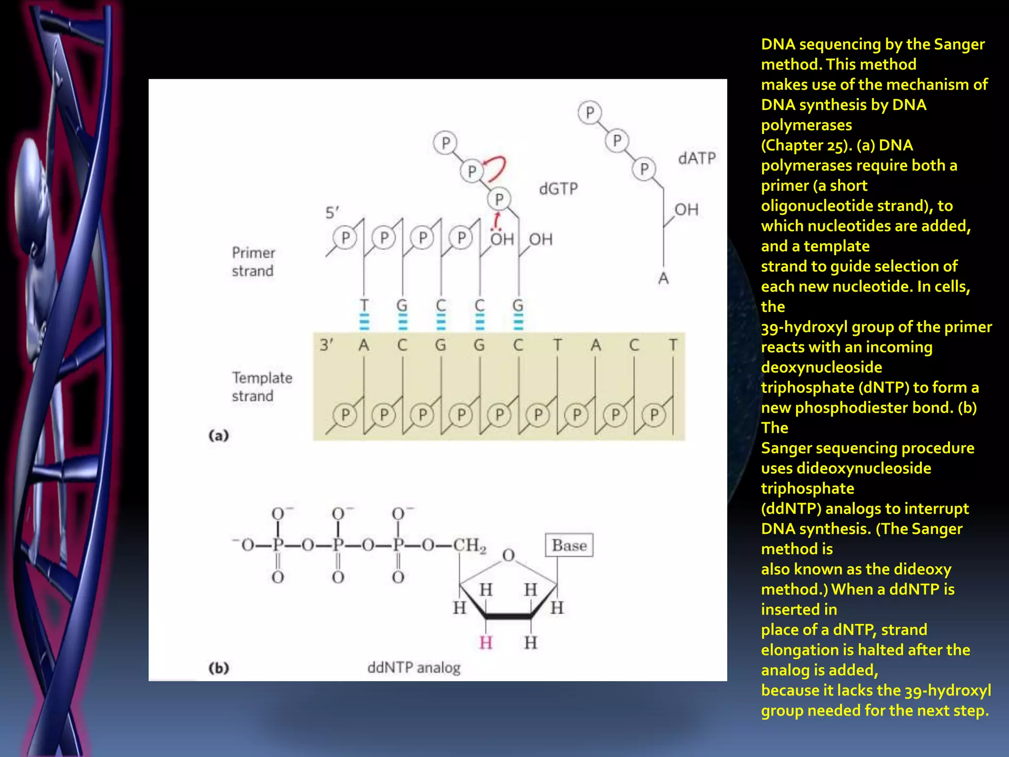 Ribosomal rna sequencing | PPTX