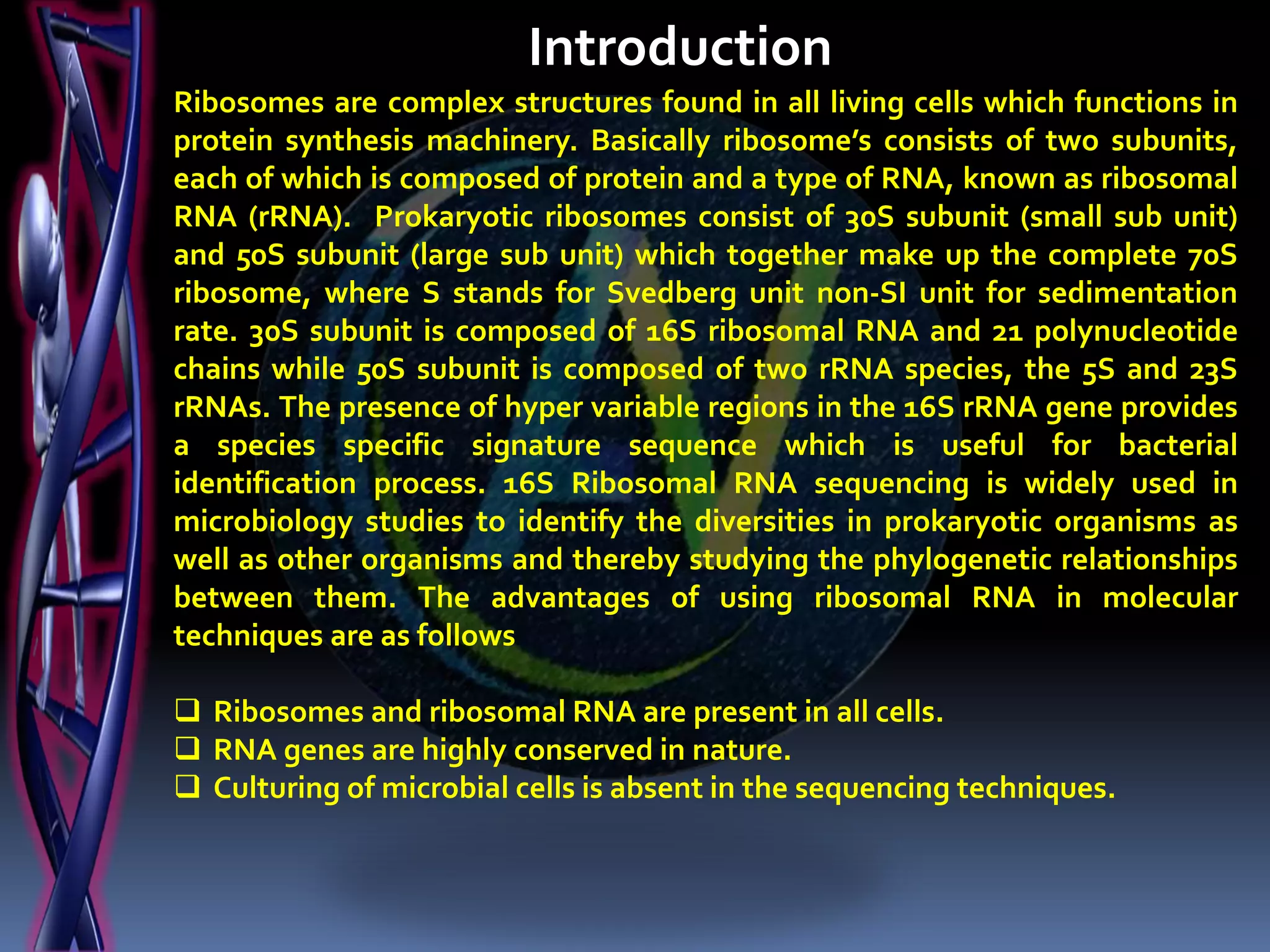 Ribosomal rna sequencing | PPTX | Biological Sciences | Science