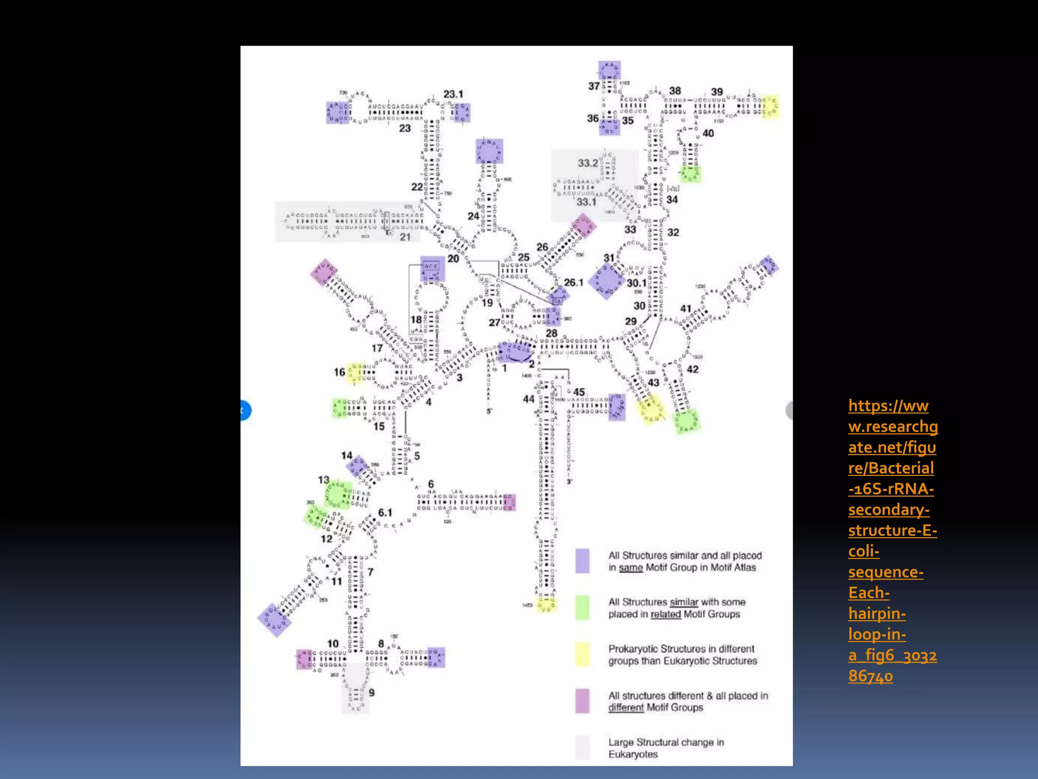 Ribosomal rna sequencing | PPTX