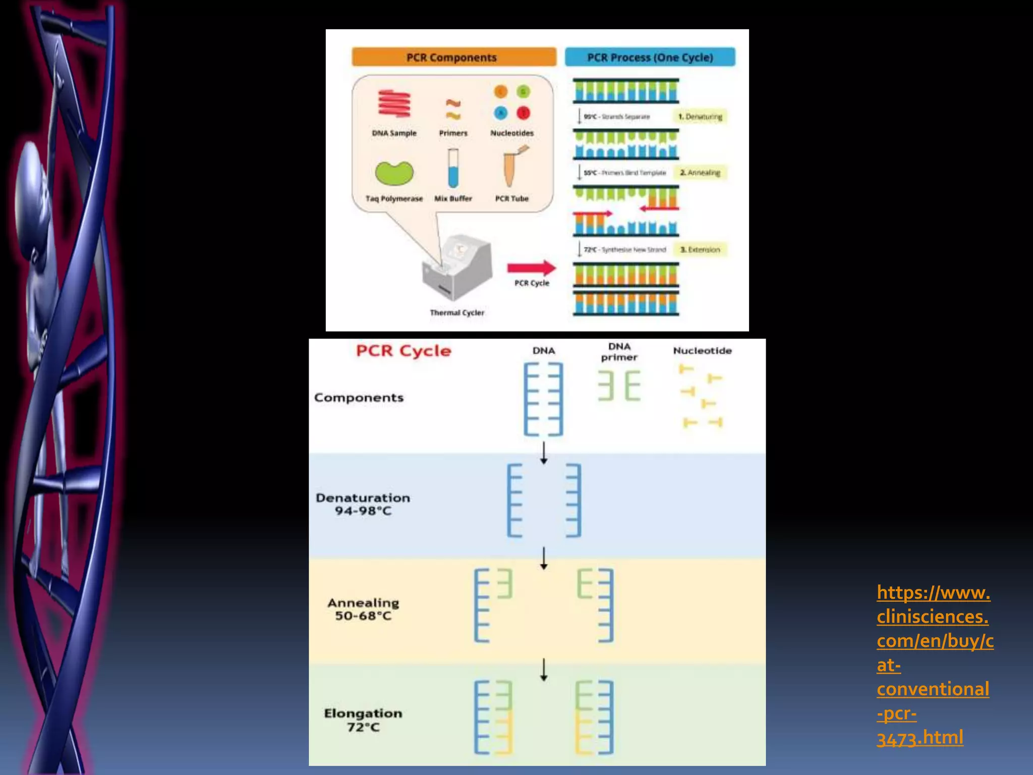 Ribosomal rna sequencing | PPTX