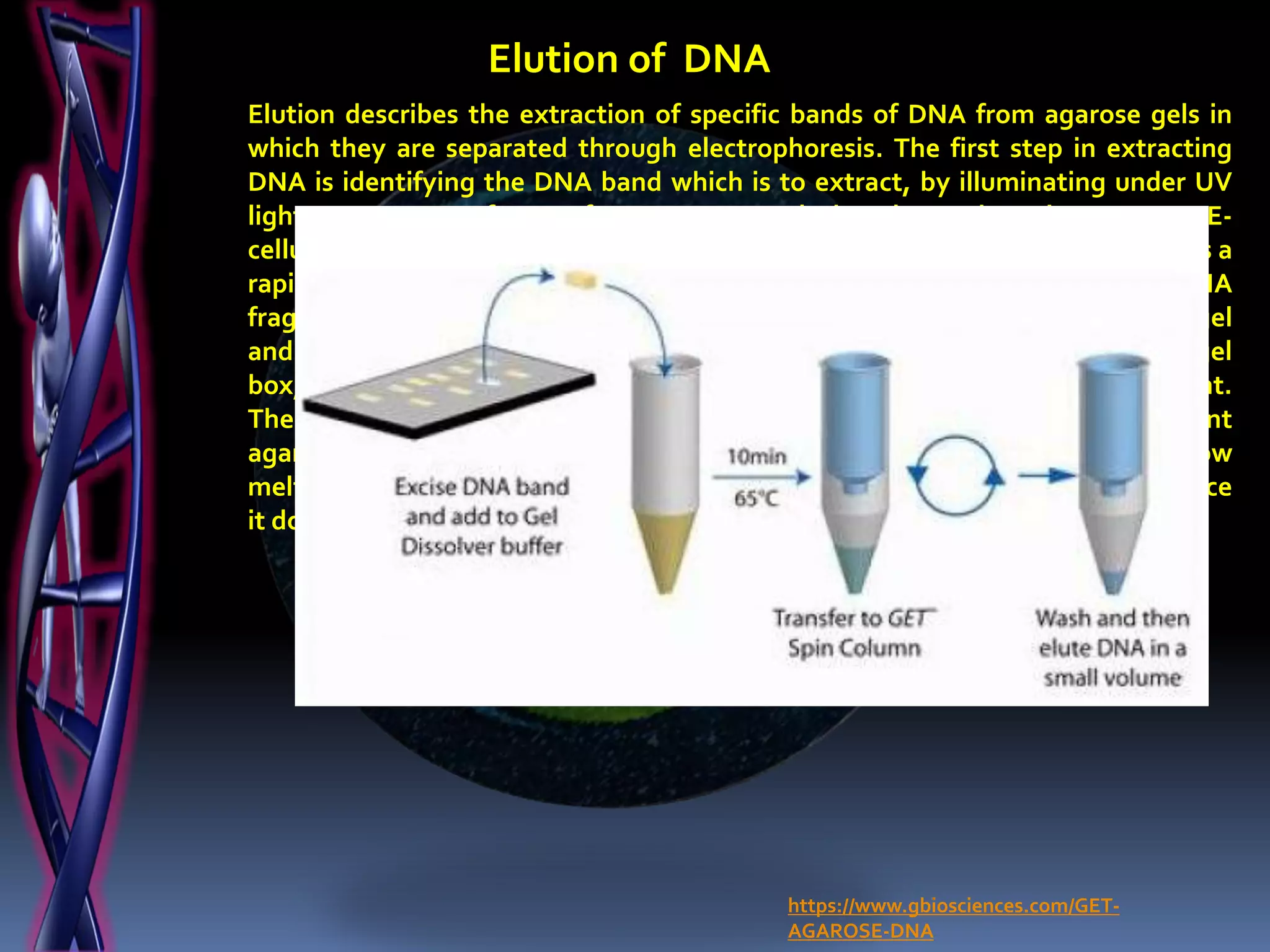 Ribosomal rna sequencing | PPTX