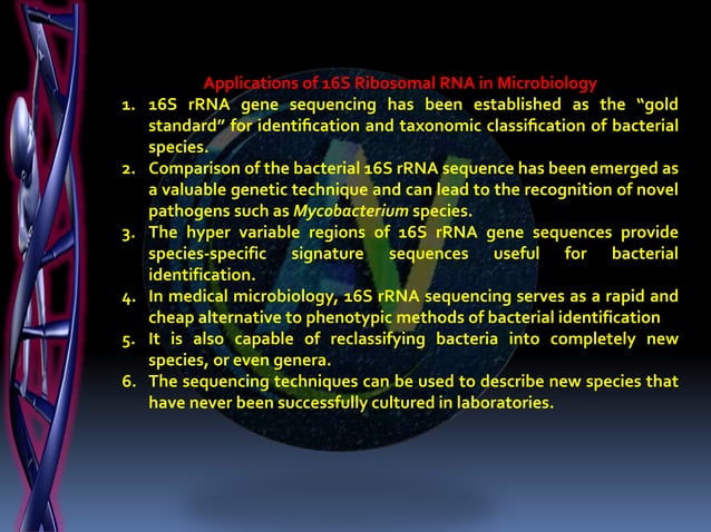 Ribosomal rna sequencing | PPTX | Biological Sciences | Science