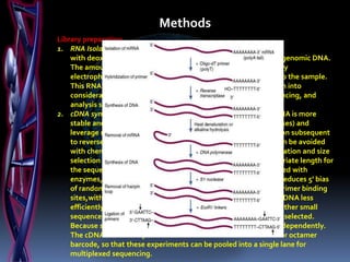 Ribosomal rna sequencing | PPTX | Biological Sciences | Science