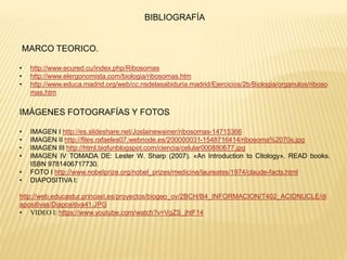 Ribosomas. | PPTX