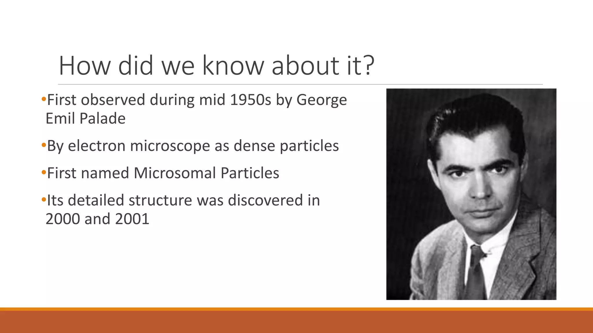 Ribosome ppt (introduction structure & Function) | PPTX