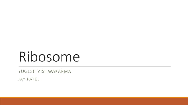 Ribosome ppt (introduction structure & Function) | PPTX | Biological Sciences | Science