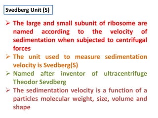 Ribosome | PPTX