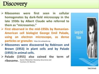Ribosome | PPTX