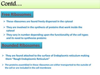 Ribosome | PPTX