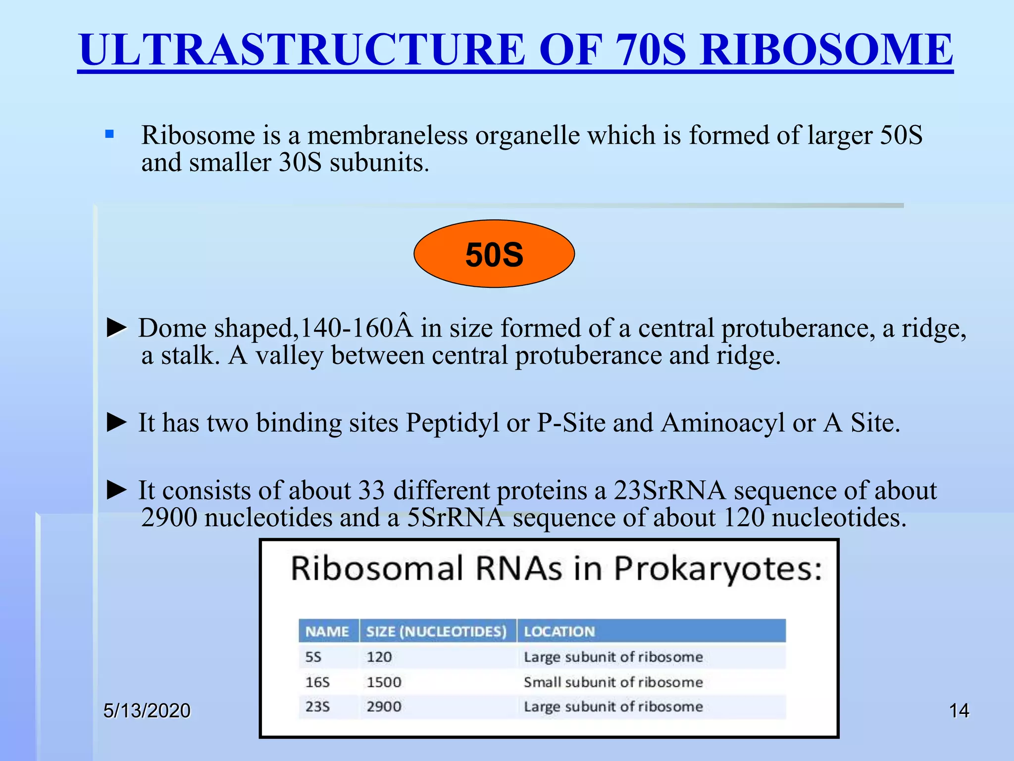 Ribosome by kk sahu sir | PPT