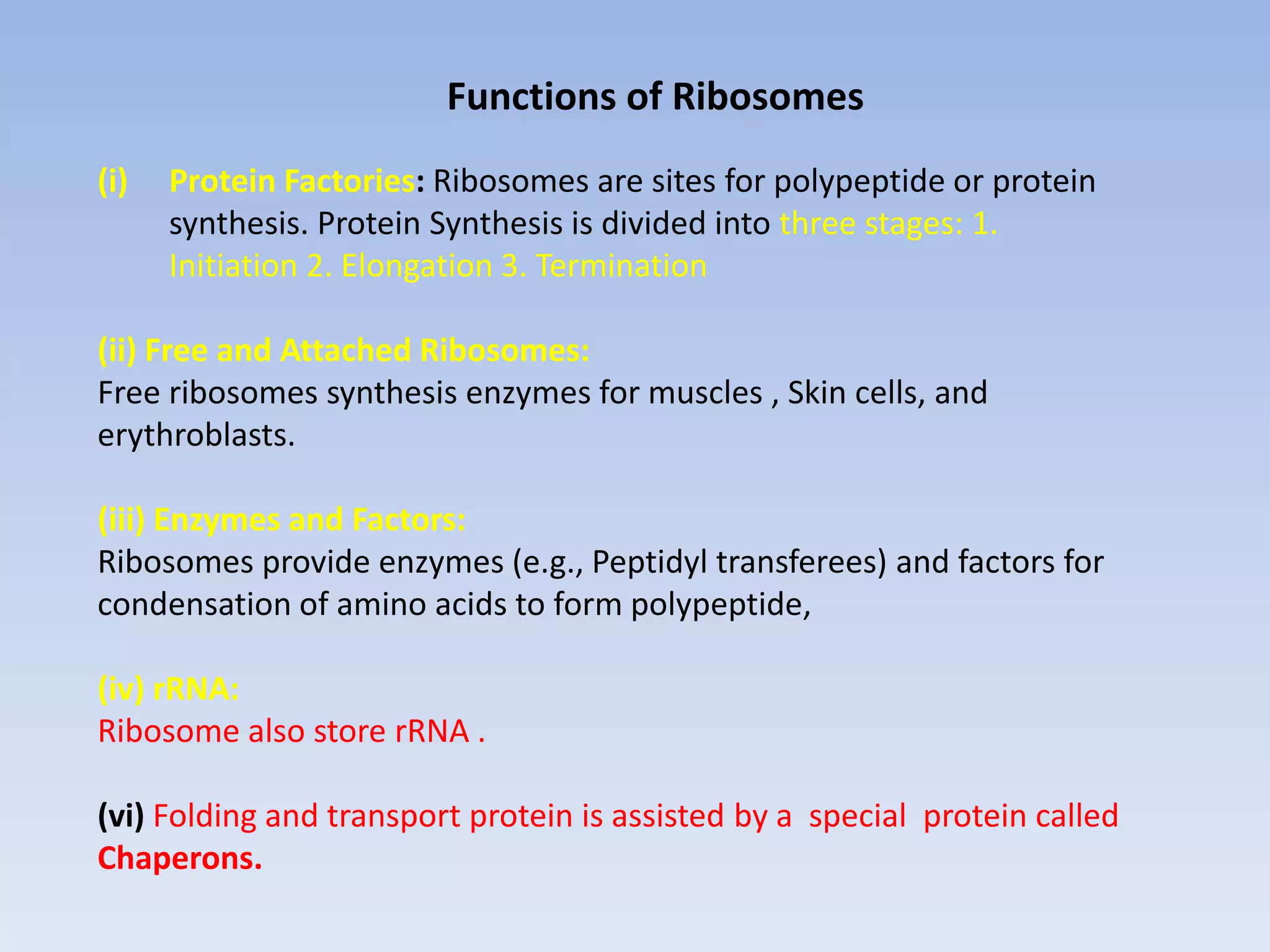Ribosome | PPT | Free Download