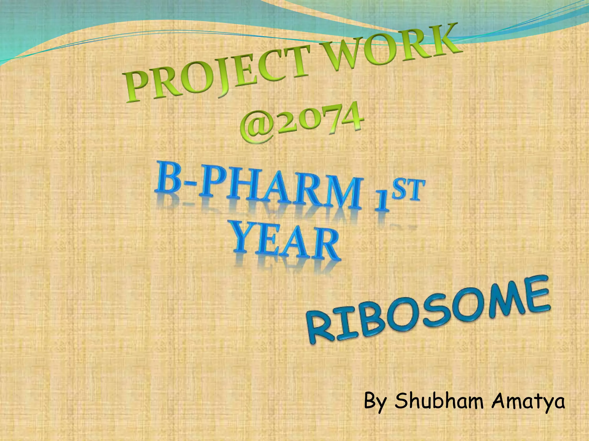 Ribosome 1st | PPTX
