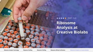 Innovative Ribosome Analysis - Creative Biolabs | PPTX