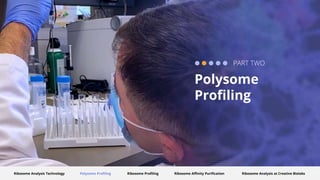 Innovative Ribosome Analysis - Creative Biolabs | PPTX