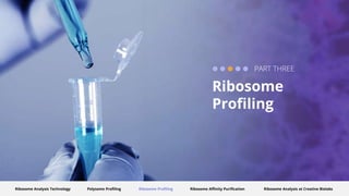 Innovative Ribosome Analysis - Creative Biolabs | PPTX