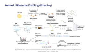 Innovative Ribosome Analysis - Creative Biolabs | PPTX