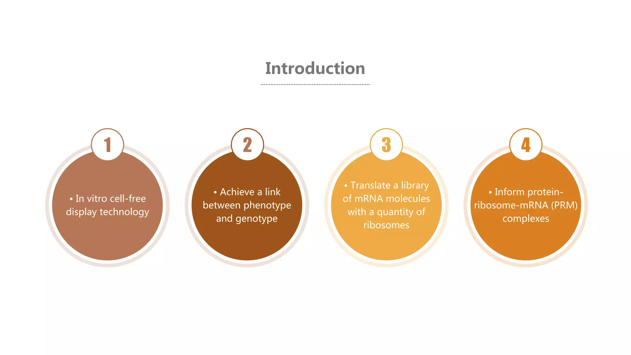 Ribosome Display Technology - Creative Biolabs | PPTX