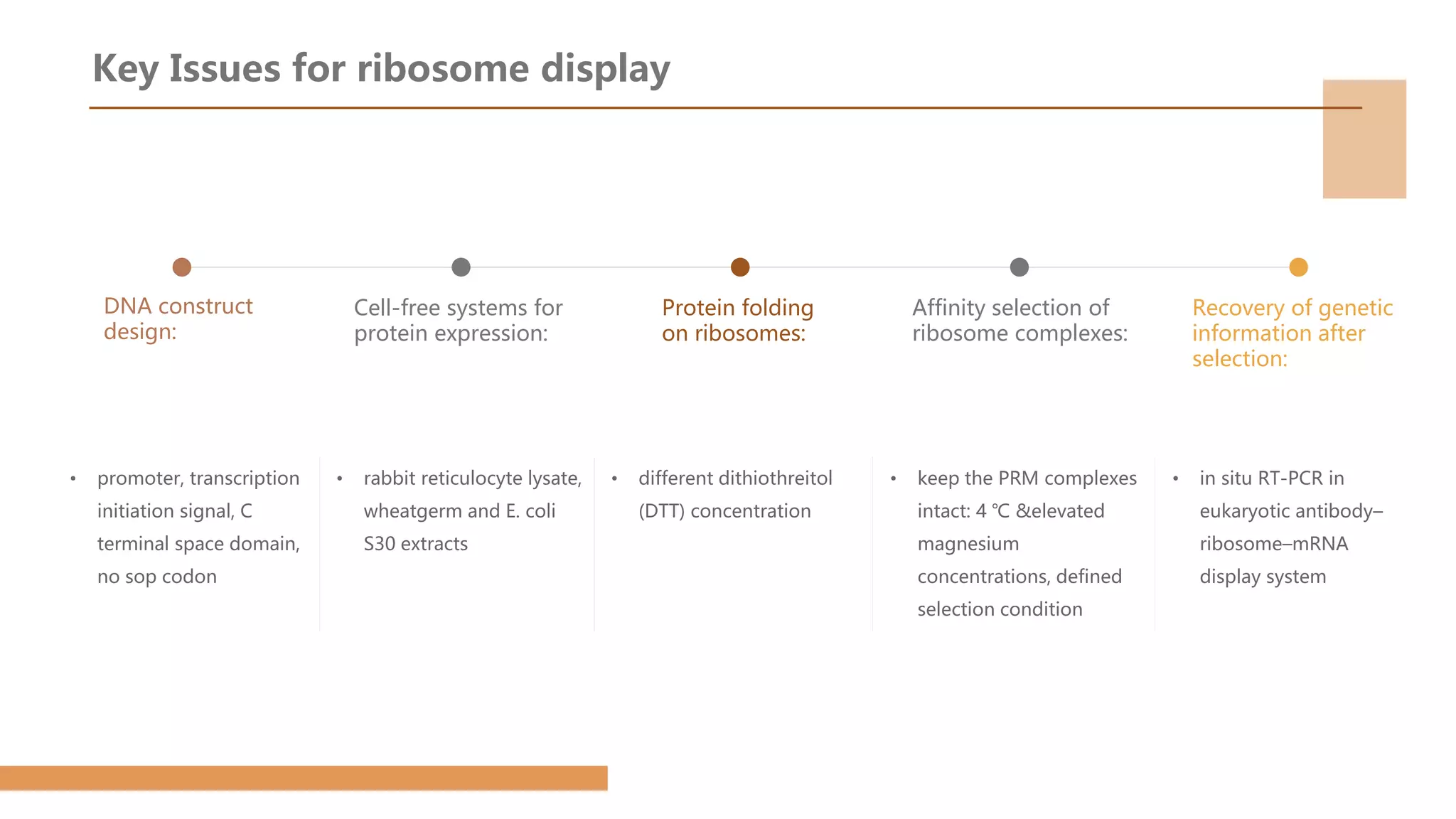Ribosome Display Technology - Creative Biolabs | PPTX