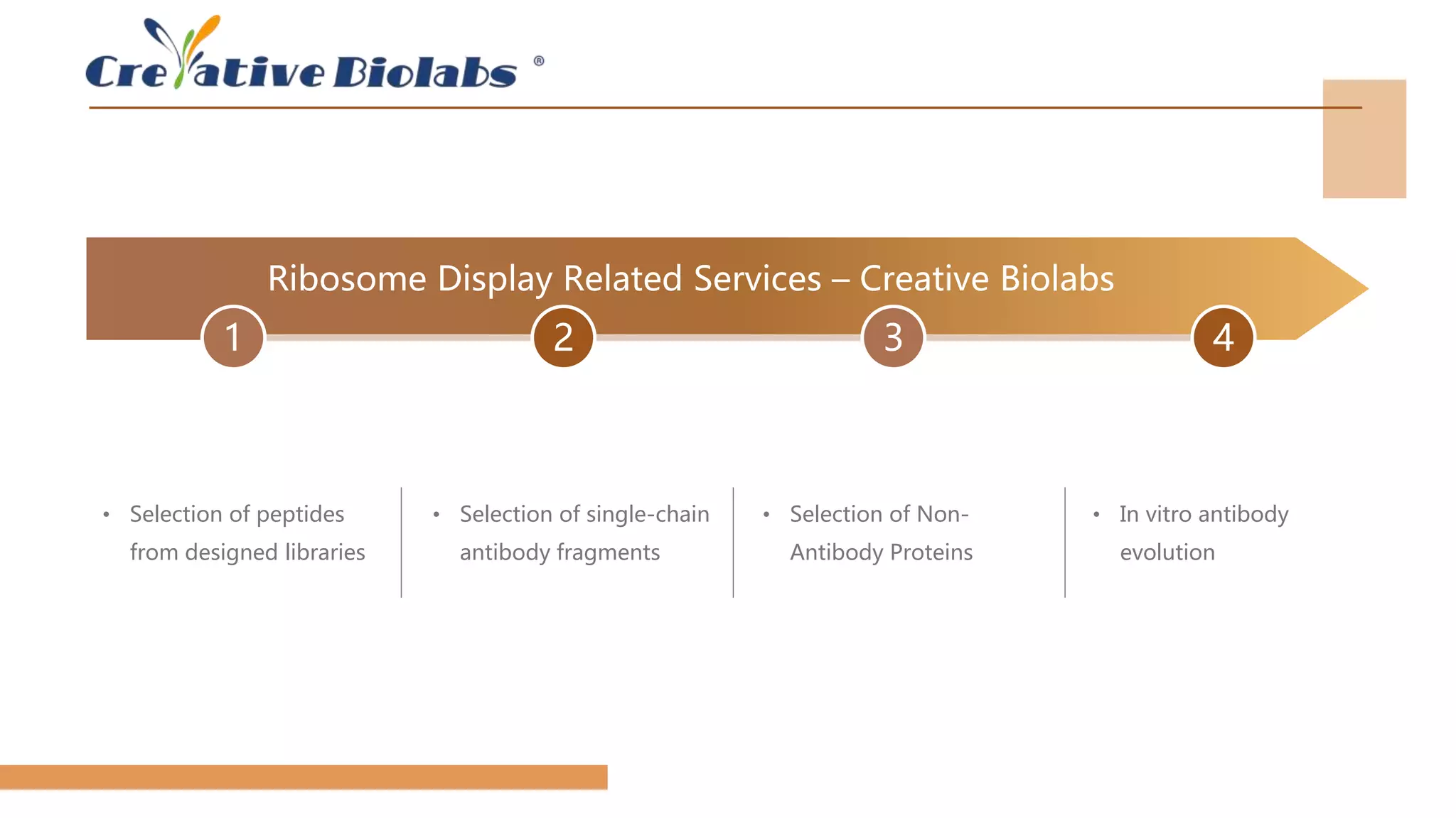 Ribosome Display Technology - Creative Biolabs | PPTX