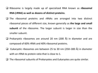 Ribosome, mitochondria and lysosome | PPTX