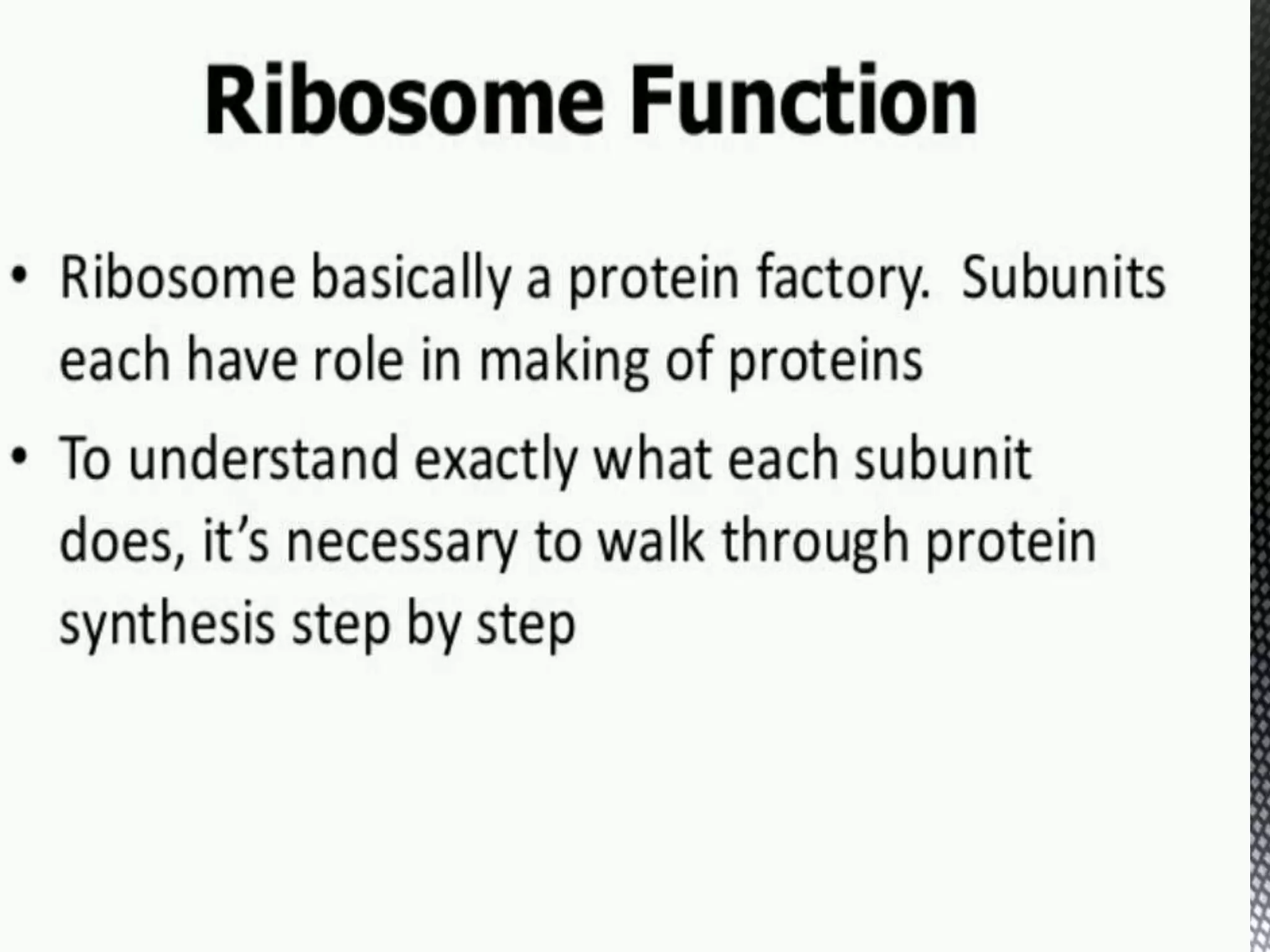 Ribosome structure and functions.ppt