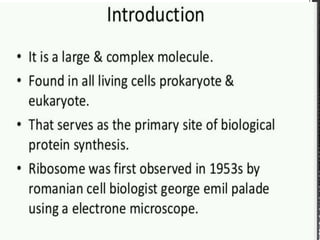 Ribosome structure and functions.ppt