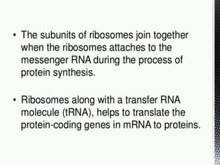 Ribosome structure and functions.ppt